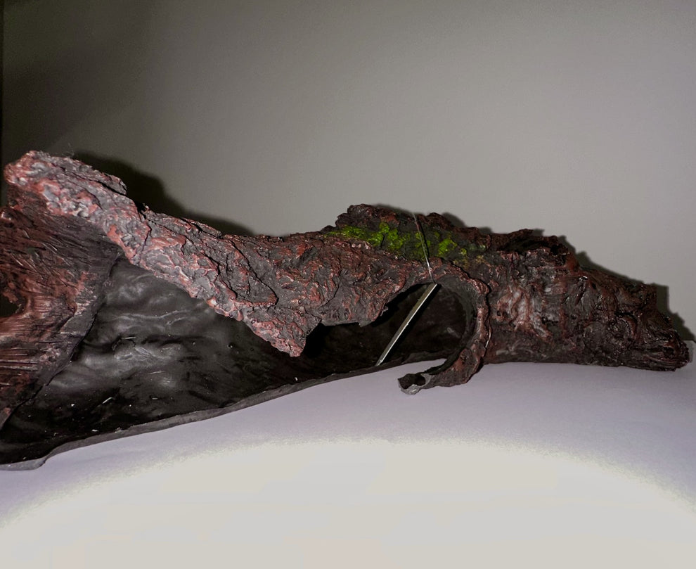 Large Hollow Log Cave – PetWave Sydney