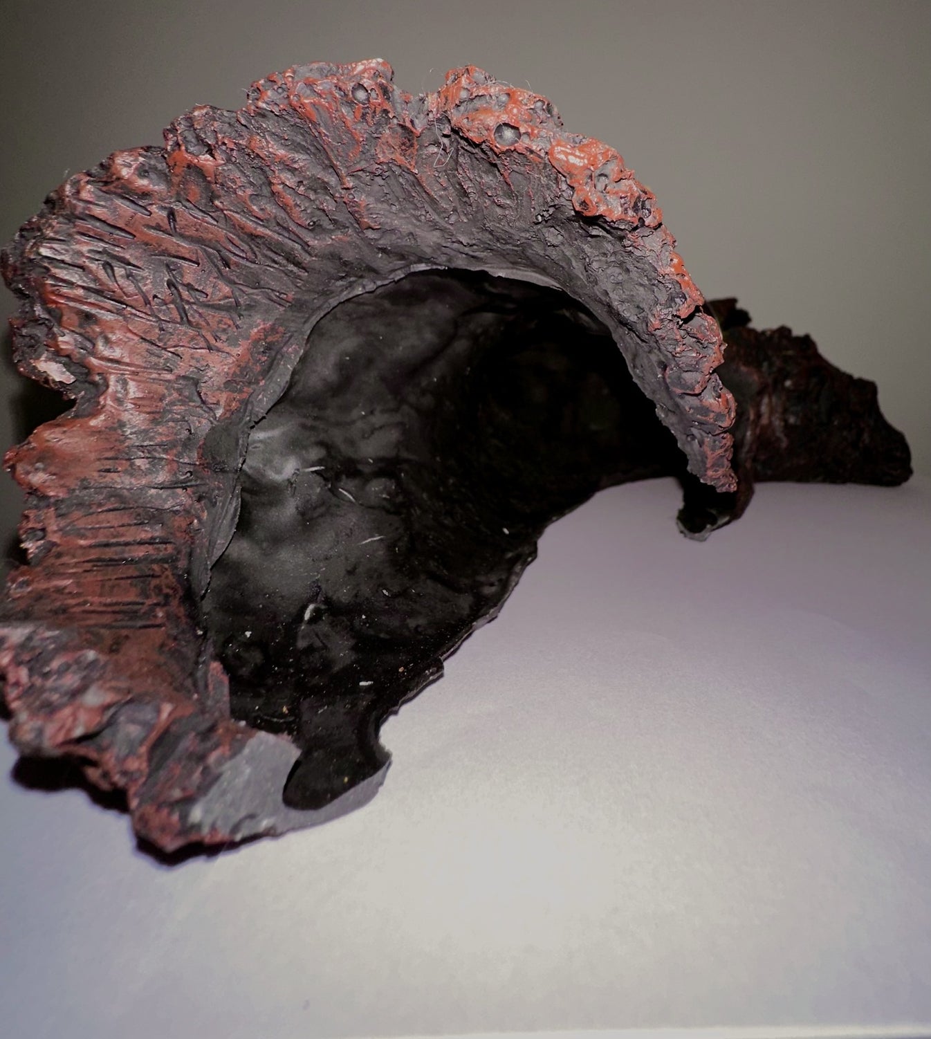 Large Hollow Log Cave – PetWave Sydney