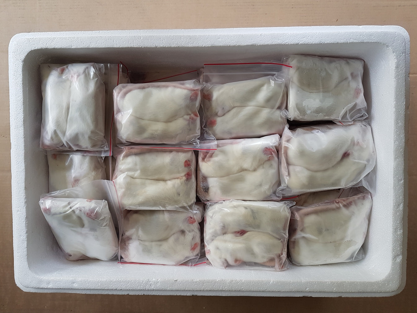 Frozen Rats | Best Online Frozen Reptile Food Supplier |Frozen Feeders ...