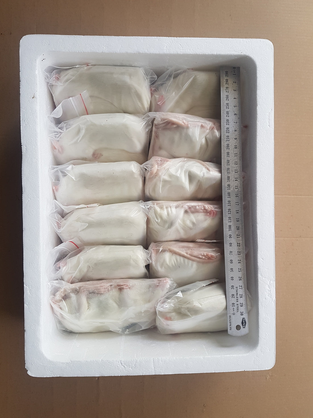 Frozen Rats | Best Online Frozen Reptile Food Supplier |Frozen Feeders ...