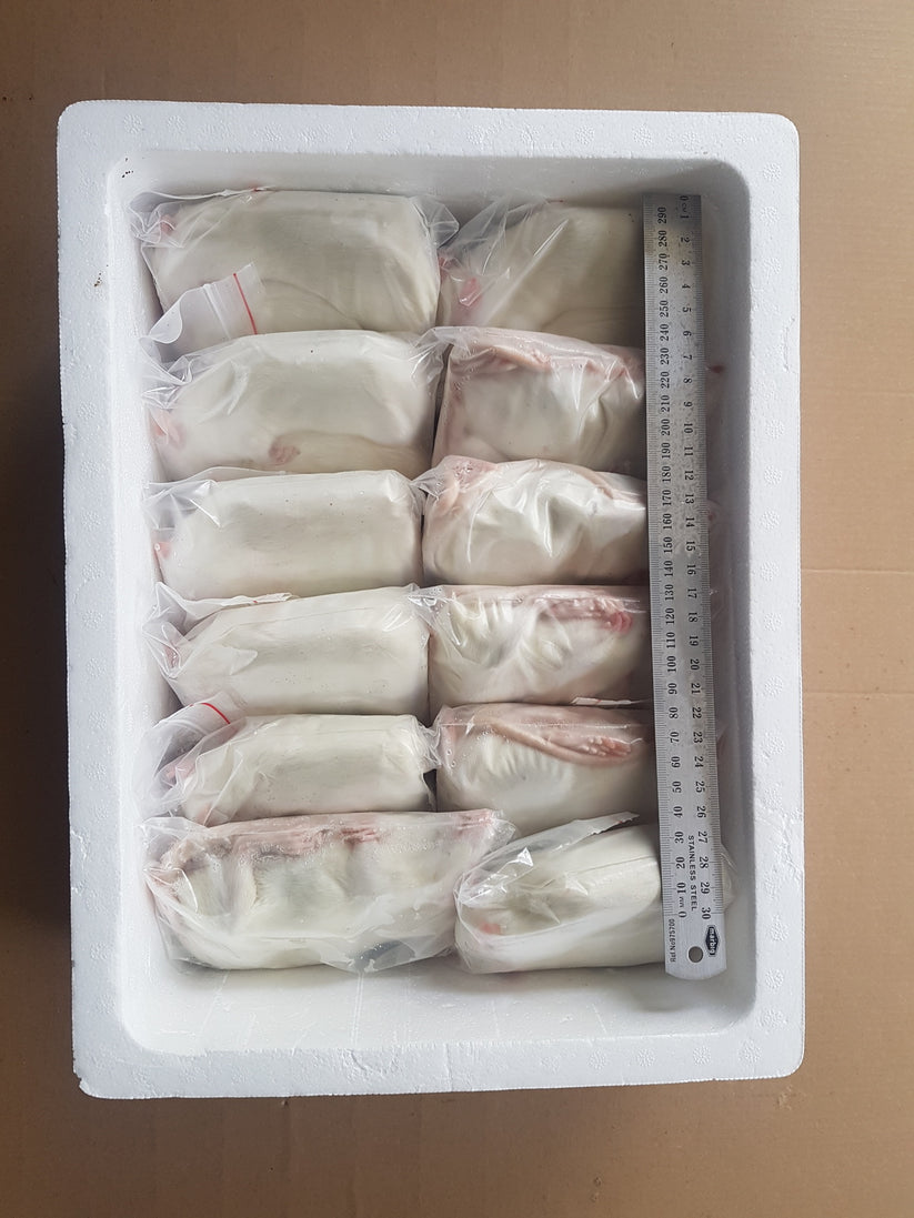 Frozen Rats | Best Online Frozen Reptile Food Supplier |Frozen Feeders ...