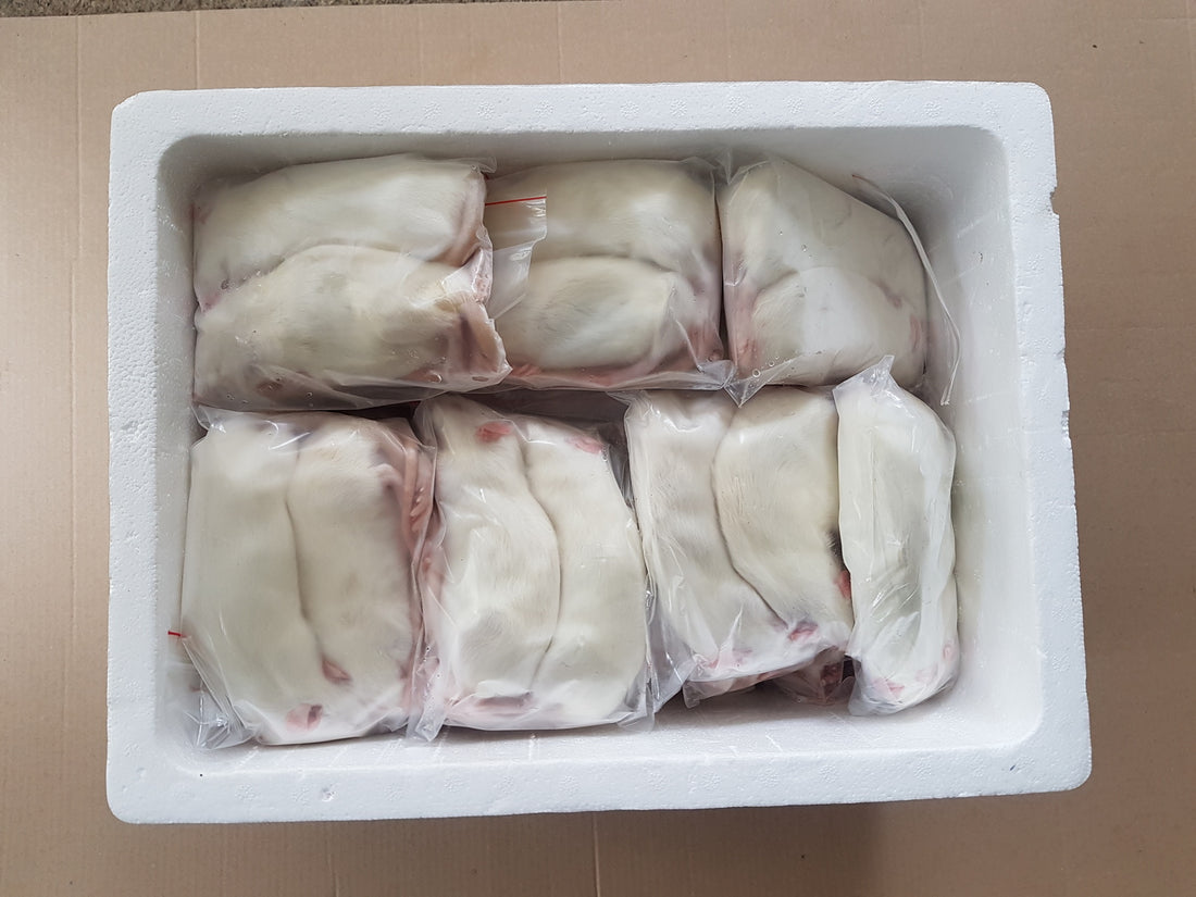 Frozen Rats | Best Online Frozen Reptile Food Supplier |Frozen Feeders ...