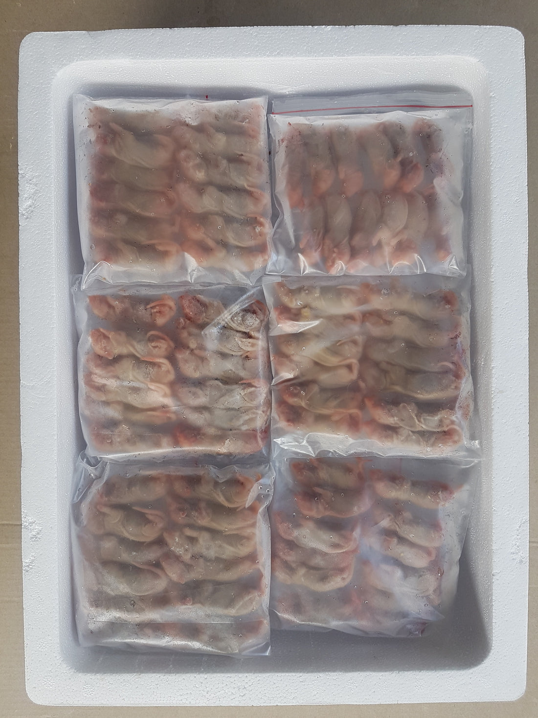 Frozen Pinkie Rats | Best Online Frozen Reptile Food Supplier |Frozen ...