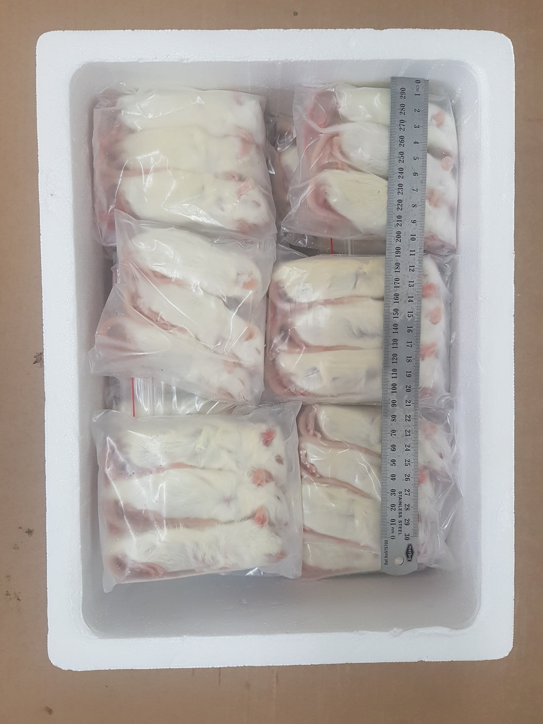 Frozen Rats | Best Online Frozen Reptile Food Supplier |Frozen Feeders ...