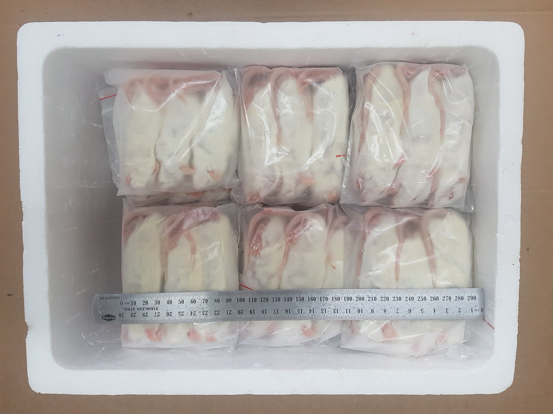 Frozen Rats | Best Online Frozen Reptile Food Supplier |Frozen Feeders ...