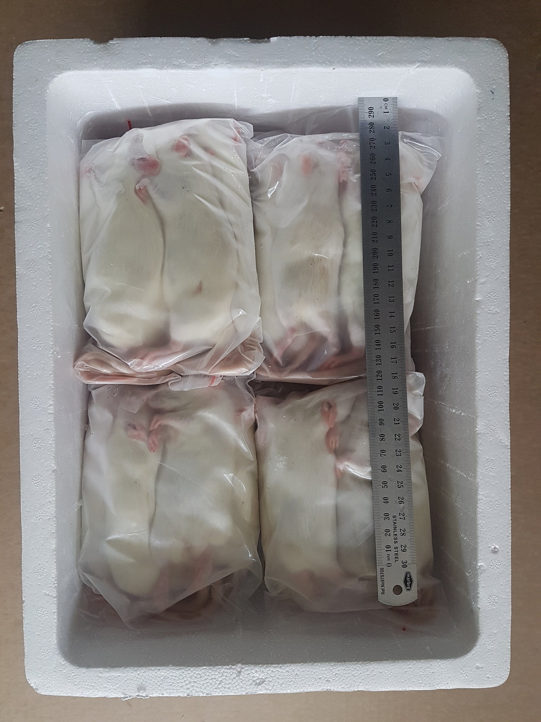 Frozen Rats | Best Online Frozen Reptile Food Supplier |Frozen Feeders ...