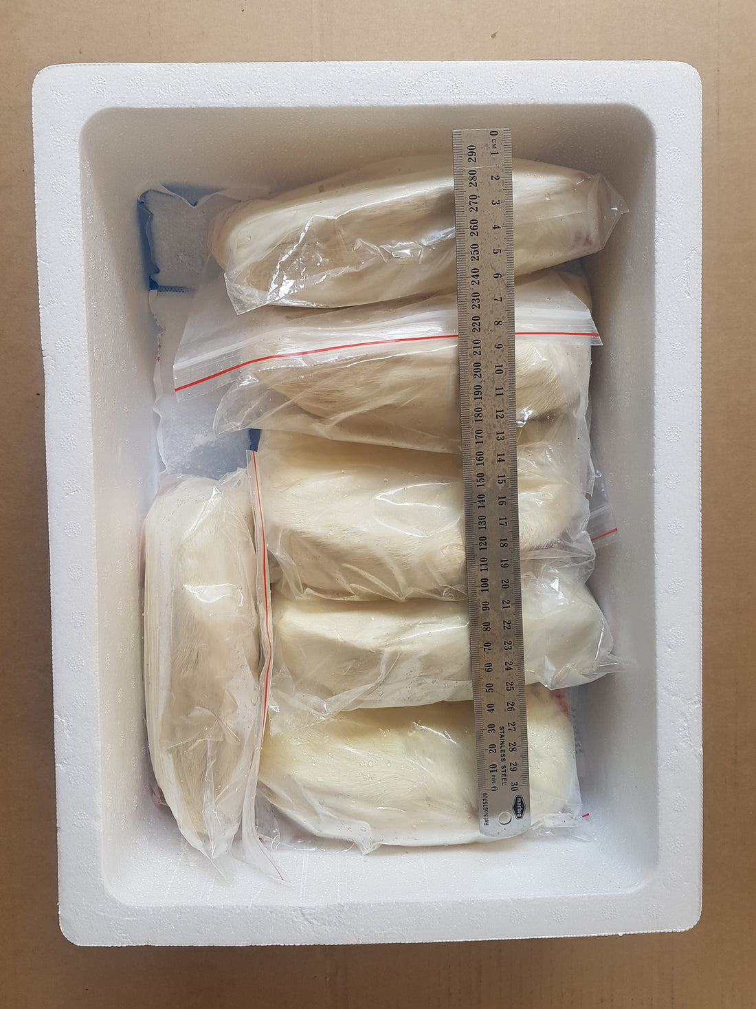 Frozen Rats | Best Online Frozen Reptile Food Supplier |Frozen Feeders ...