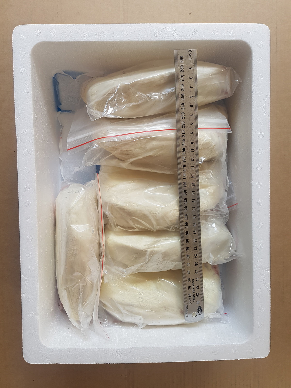 Frozen Rats | Best Online Frozen Reptile Food Supplier |Frozen Feeders ...