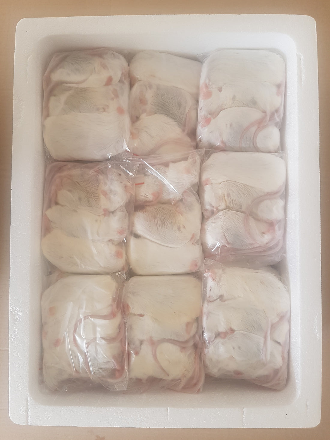 Frozen Mice | Best Online Frozen Reptile Food Supplier |Frozen Feeders ...